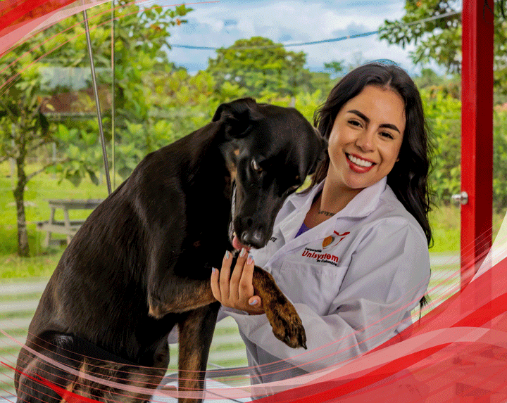 Estudia Programas Tecnicos en Villavicencio - Unisystem