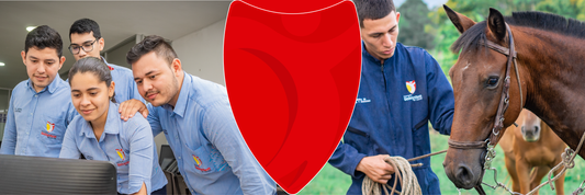 Quienes somos - Corporación Unisystem de Colombia