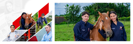 Corporacion Unisystem de Colombia