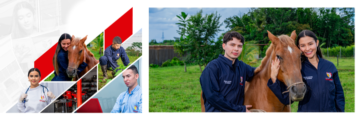 Corporacion Unisystem de Colombia